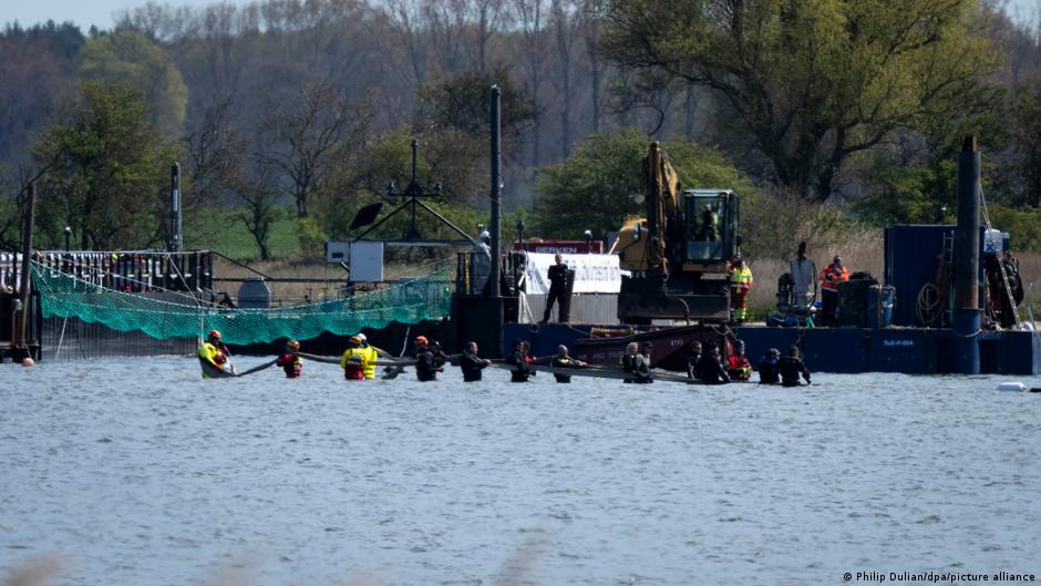 Germany: Stranded whale 'Timmy' being transported towards ocean in ...