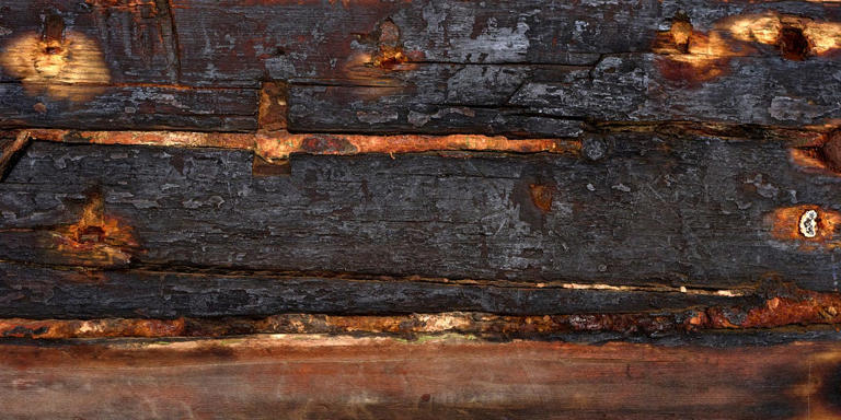 Scientists studied an ancient Roman shipwreck and found a 2,200-year ...