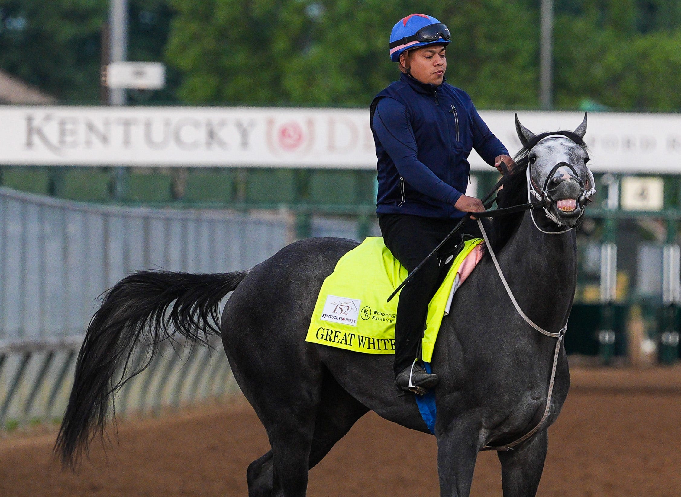 Great White horse trainer, jockey, owner for Kentucky Derby 2026