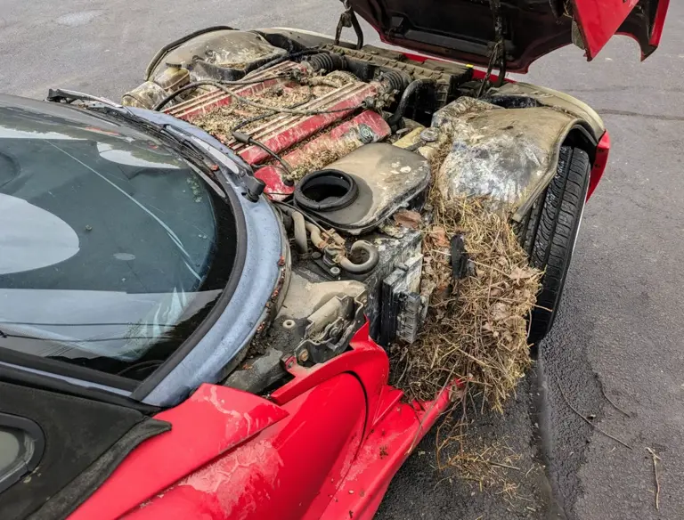 Dodge Viper pulled off Kentucky dealership pole after 28 years — the ...