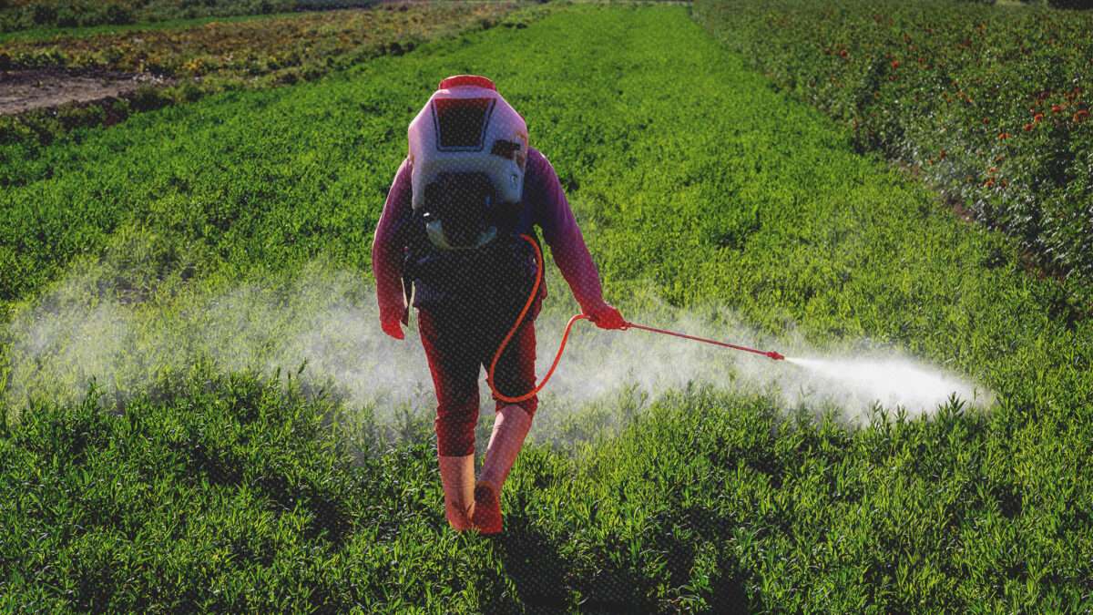 Does Roundup cause cancer? Monsanto's Supreme Court case could have big ...