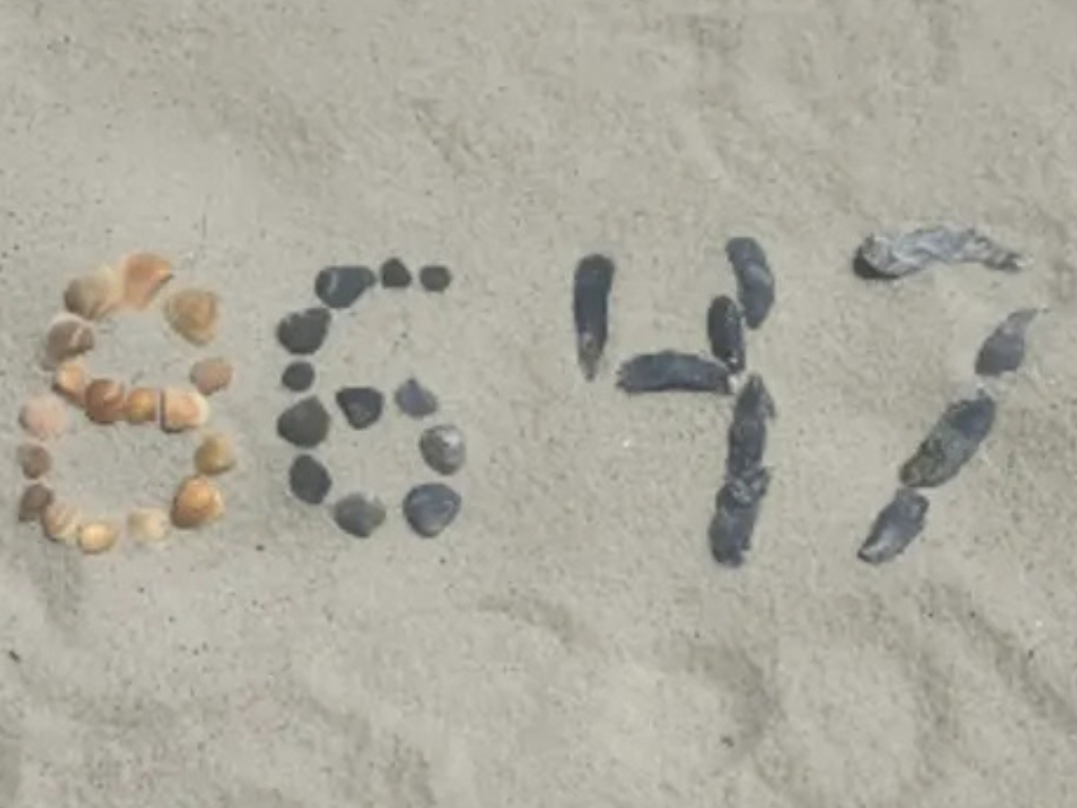 What does 8647 written from seashells mean, and what is James Comey's ...