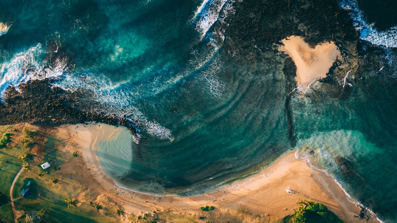 Kauai’s south shore beach has wild turtles, sleeping monk seals, and ...