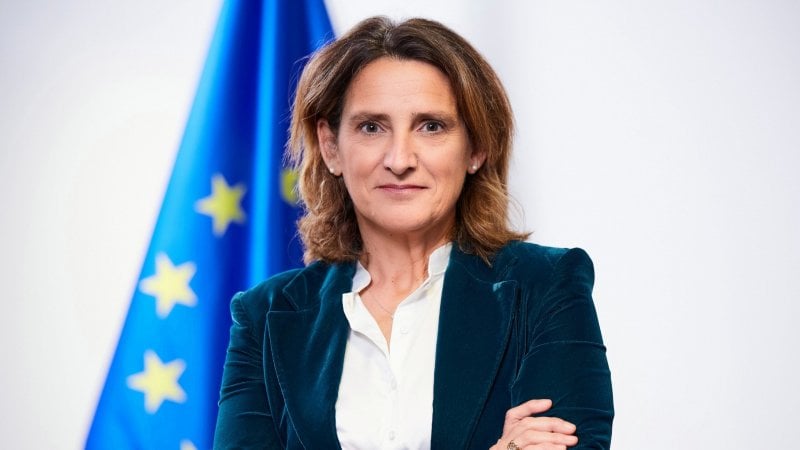 L'Europa pressa Android e Gemini: Google deve aprirsi ad altre IA