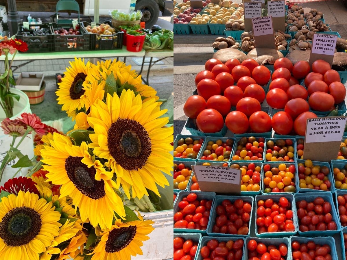 Homewood Farmers Market kicks off May 30 with more vendors, more flavor ...