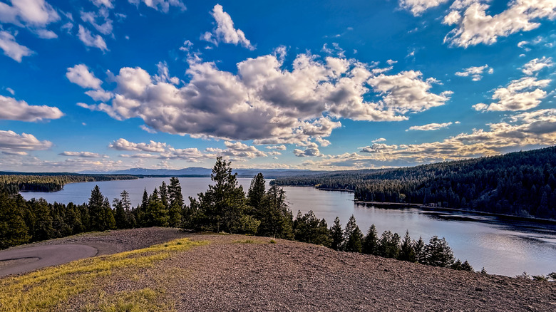 Idaho's lovely state park on a peninsula offers incredible lake views ...