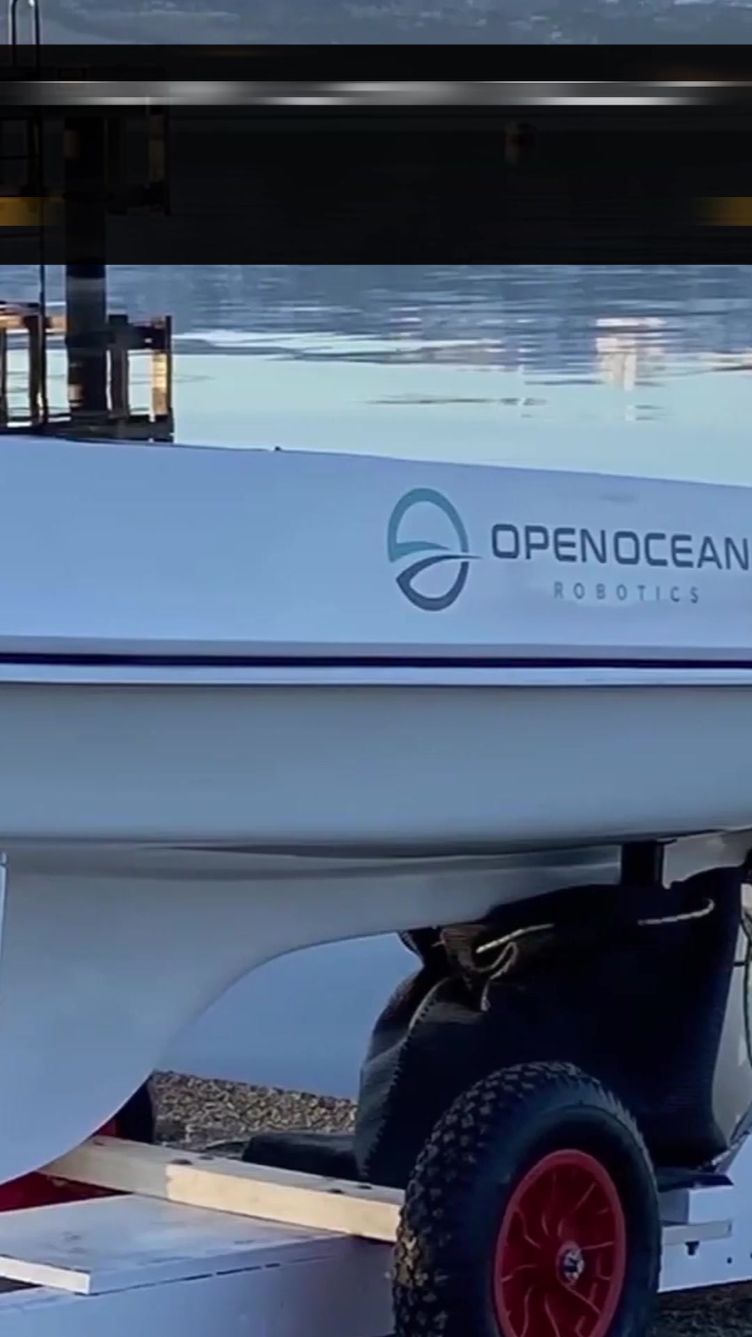 How autonomous marine robots are revolutionizing the fight against ...