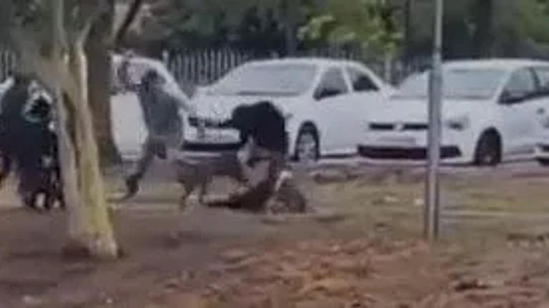 Viral footage of dog attack in Goodwood ignites public safety debate