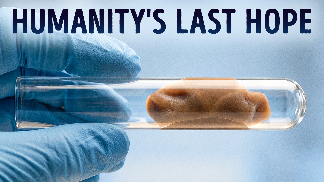 Scientists aim to preserve 10,000 human microbe samples in vault