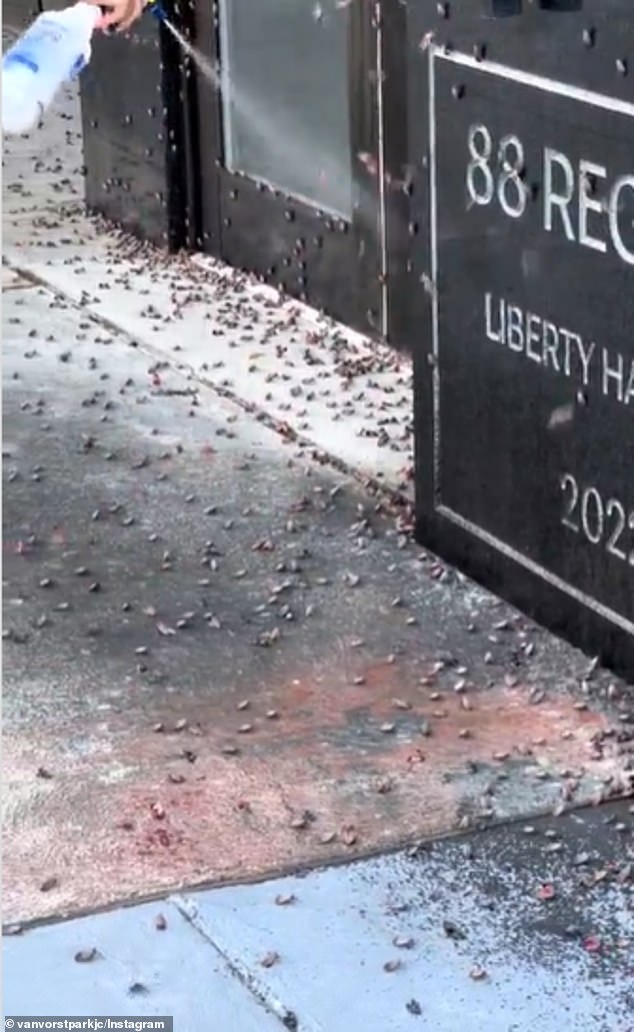 Plague of spotted lanternflies set to invade parts of the US by the ...