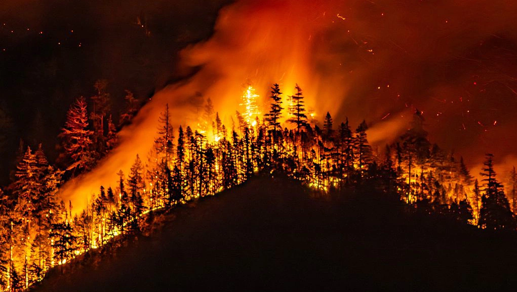 Record interest in BC wildfire boot camp as drought looms