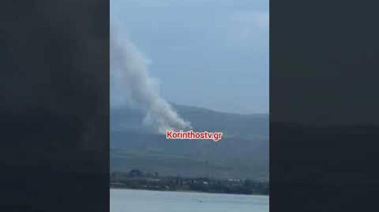 Φωτιά τώρα σε πευκοδάσος στο Ζευγολατιό, μεγάλη κινητοποίηση της ...