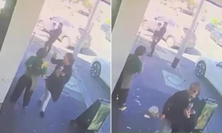Outrage after woman is captured on CCTV smashing a plate into a ...