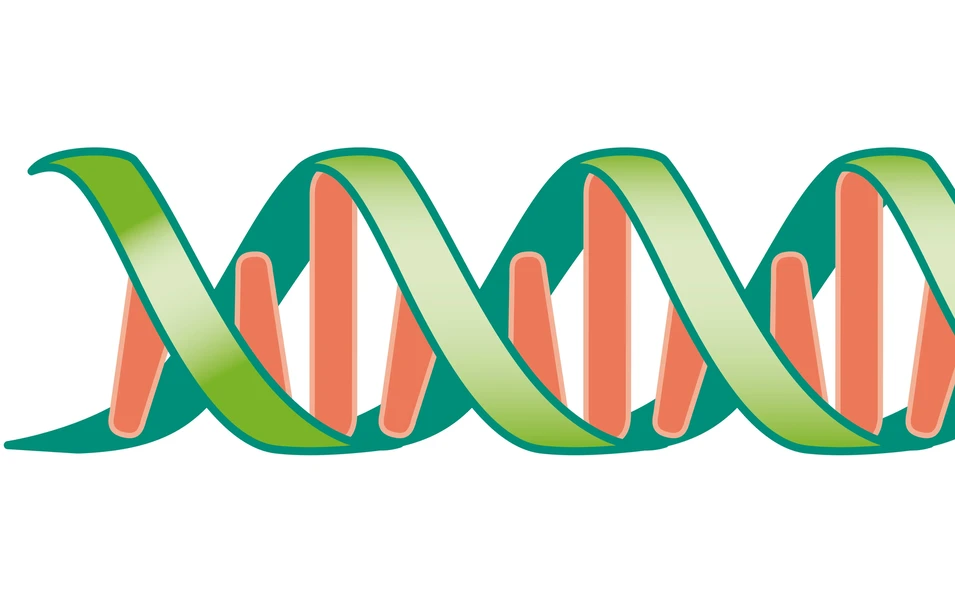 Genetics decoded: From Mendel to modern DNA