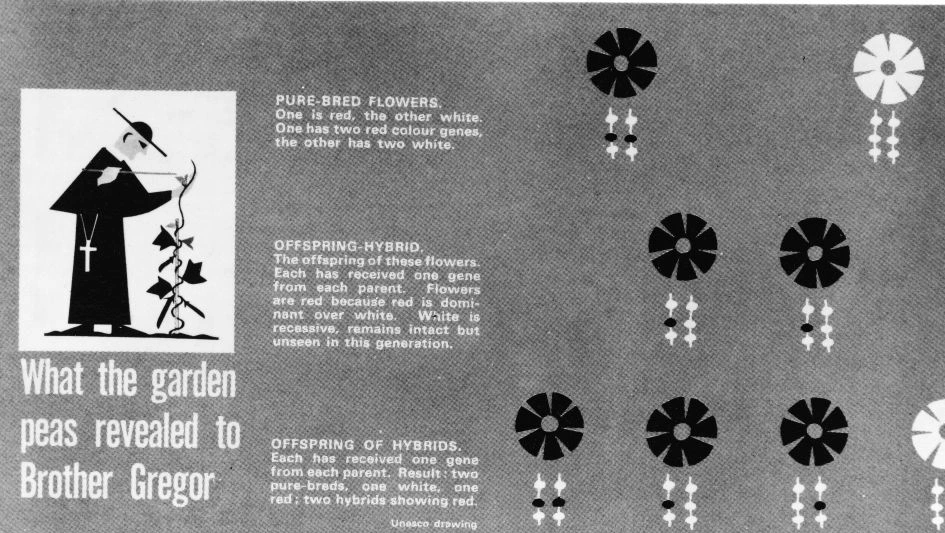 Genetics decoded: From Mendel to modern DNA