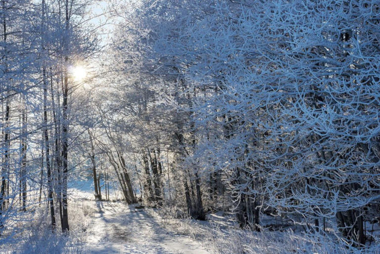 Weather: First frost of the season expected in parts of SA