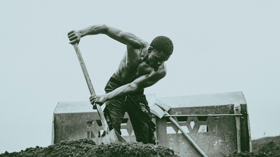 French proverb of the day: ‘We don’t teach the old monkey to make a face’