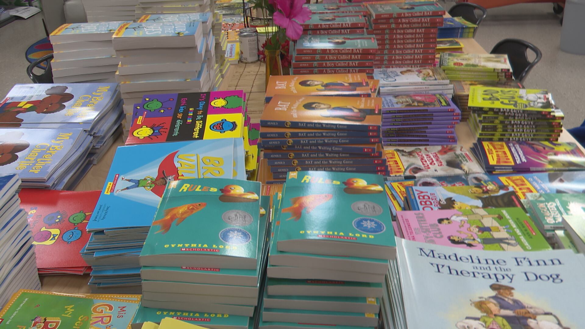 Nonprofit donates hundreds of books to Whitehead Elementary in Rockford