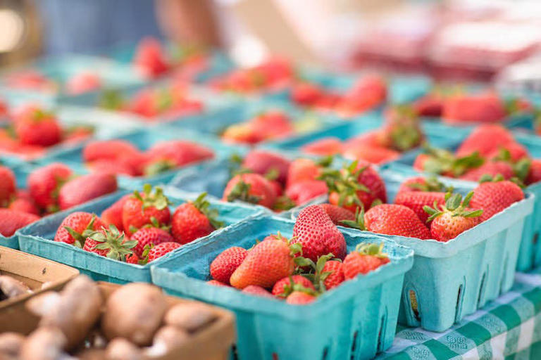 Homewood Farmers Market kicks off May 30 with more vendors, more flavor ...
