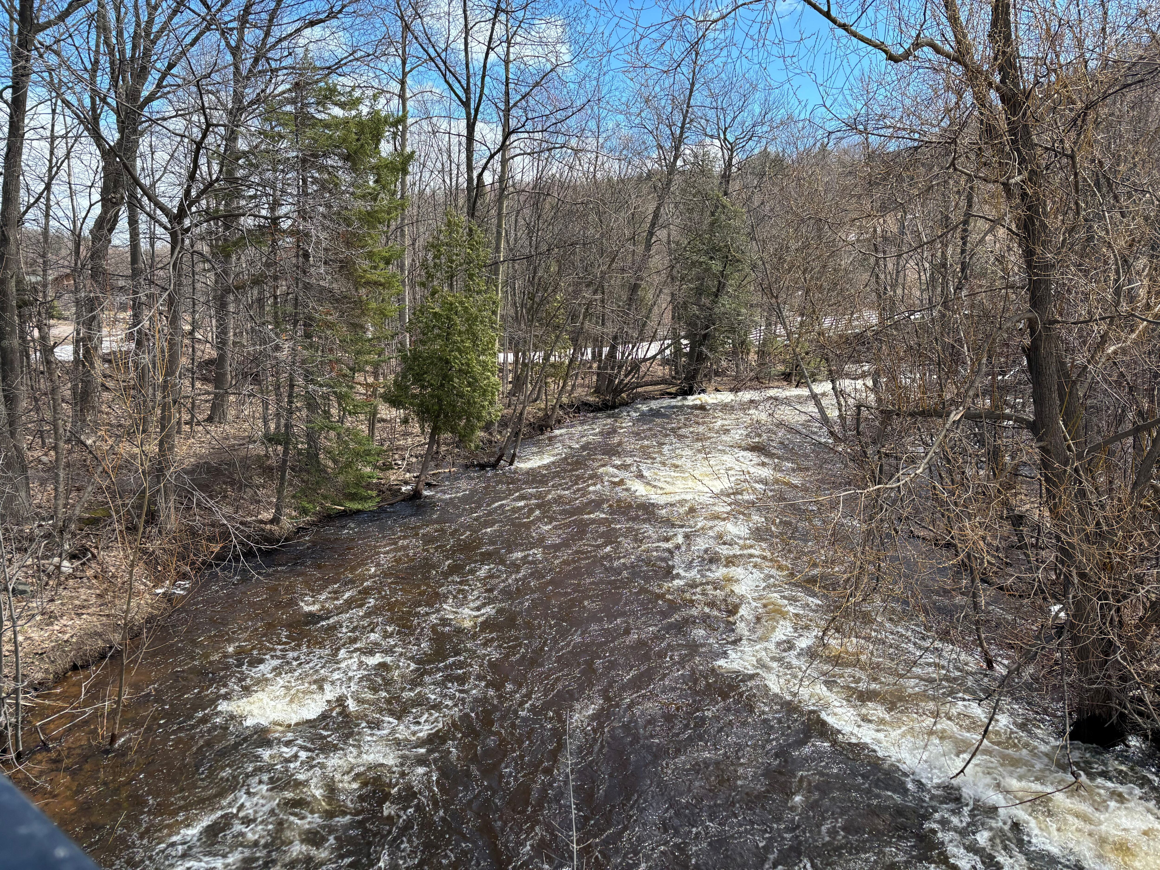 Recent flooding prompts DNR to close state parks across Michigan