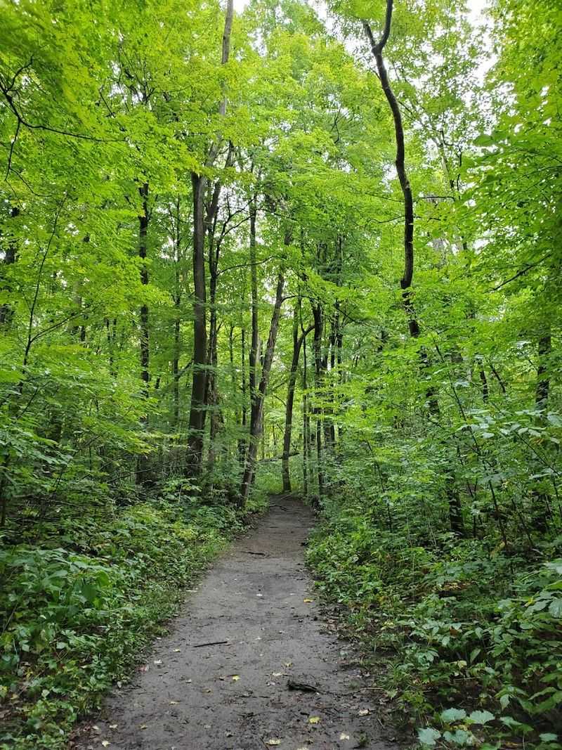 A boardwalk less than a mile from the highway where Minnesota birds ...