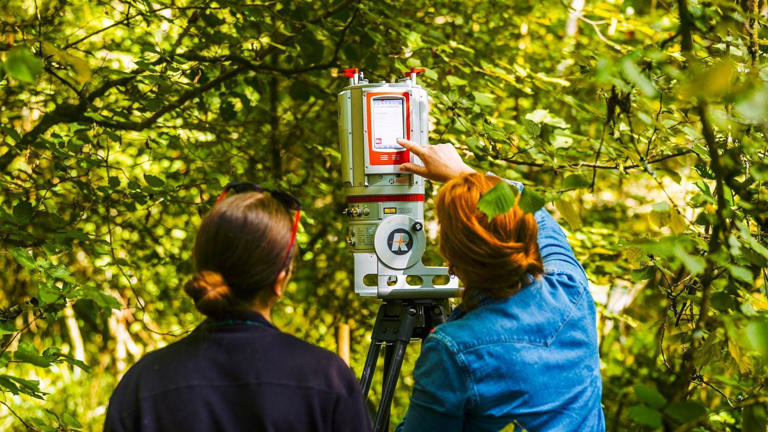 'Pioneering' study to boost bee numbers at Wakehurst