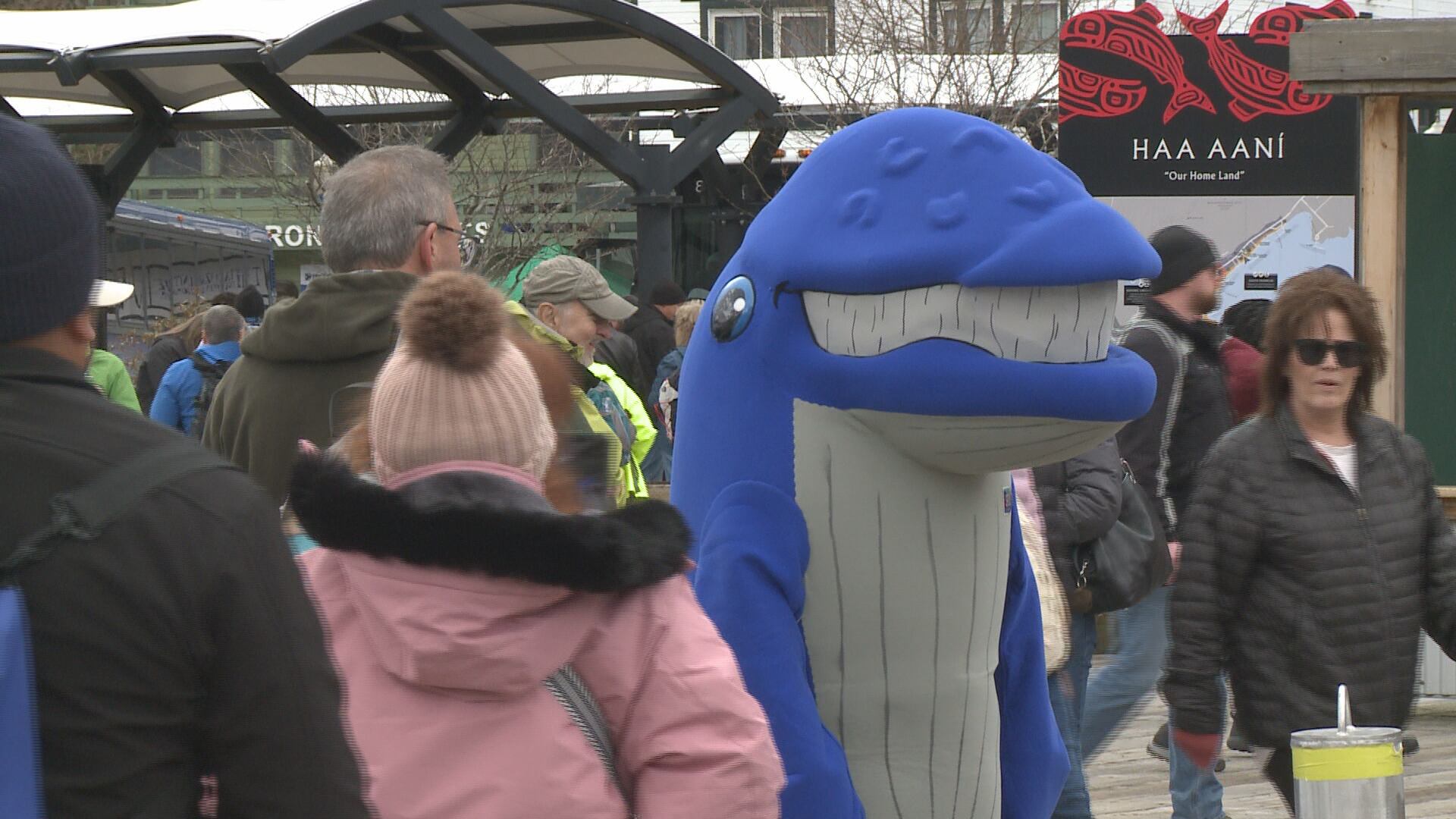 Tourists from around the country arrive in Juneau on first cruise this ...