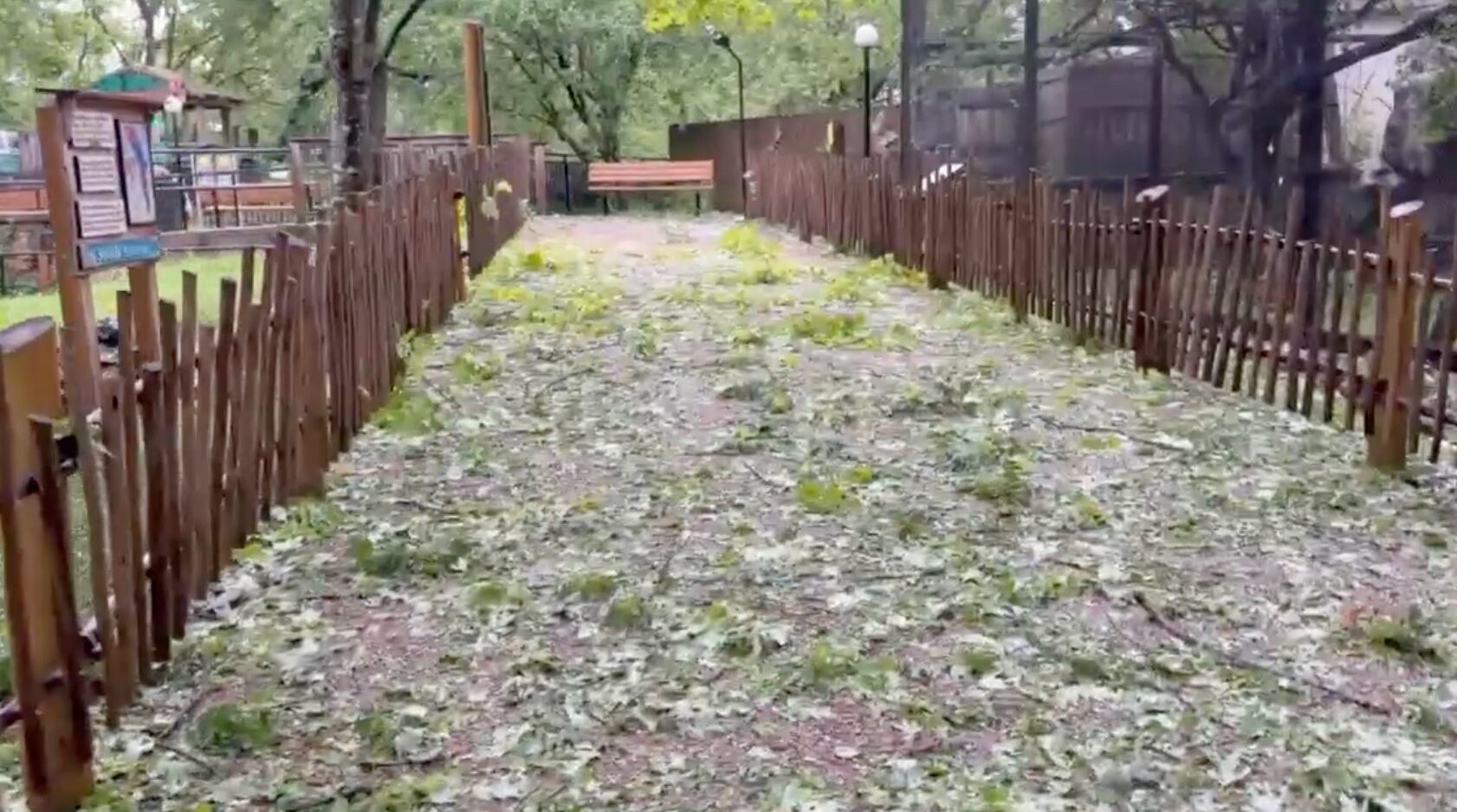 Hail storm kills 1 animal, injures another at Springfield’s Dickerson ...