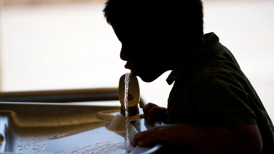 New long-term study shows fluoridated water has no impact on IQ, brain ...