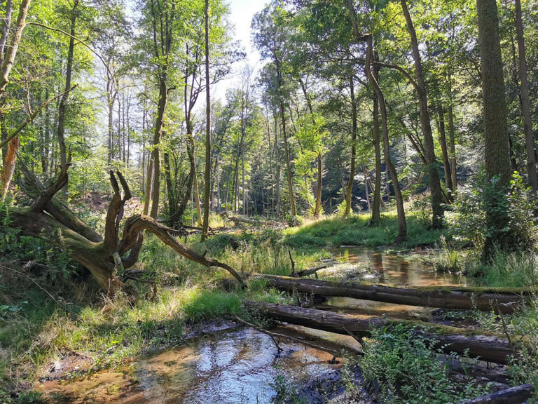 Wielkopolska poza oczywistym szlakiem. Te miejsca zaskakują krajobrazem ...