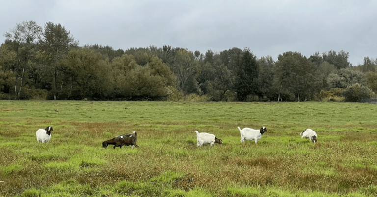 This small-town state park in Idaho feels like a local secret