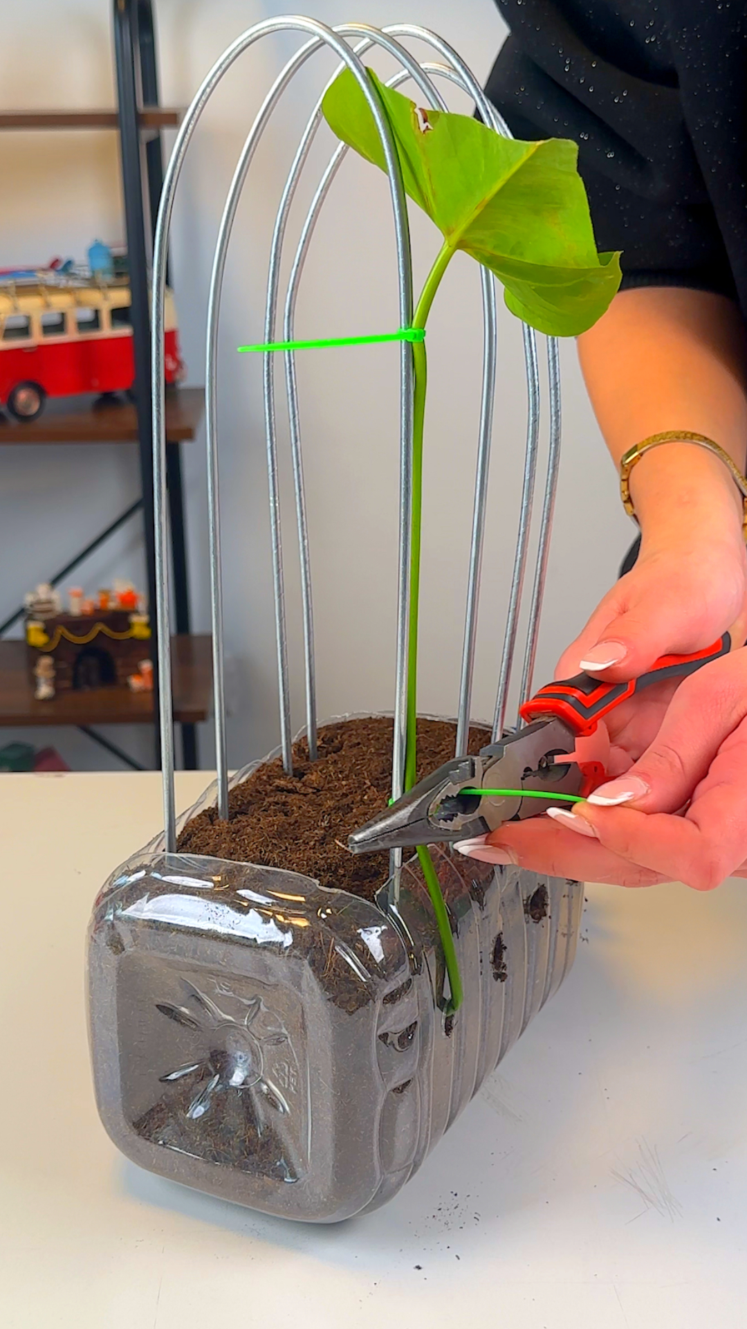 Transformer une bouteille en porte-plante ♻️🌱