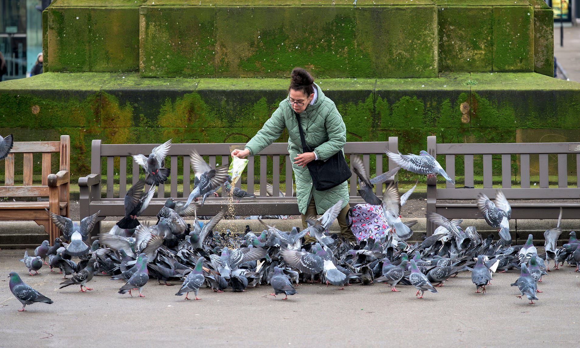 Feeding the birds and blackberry foraging among everyday activities ...