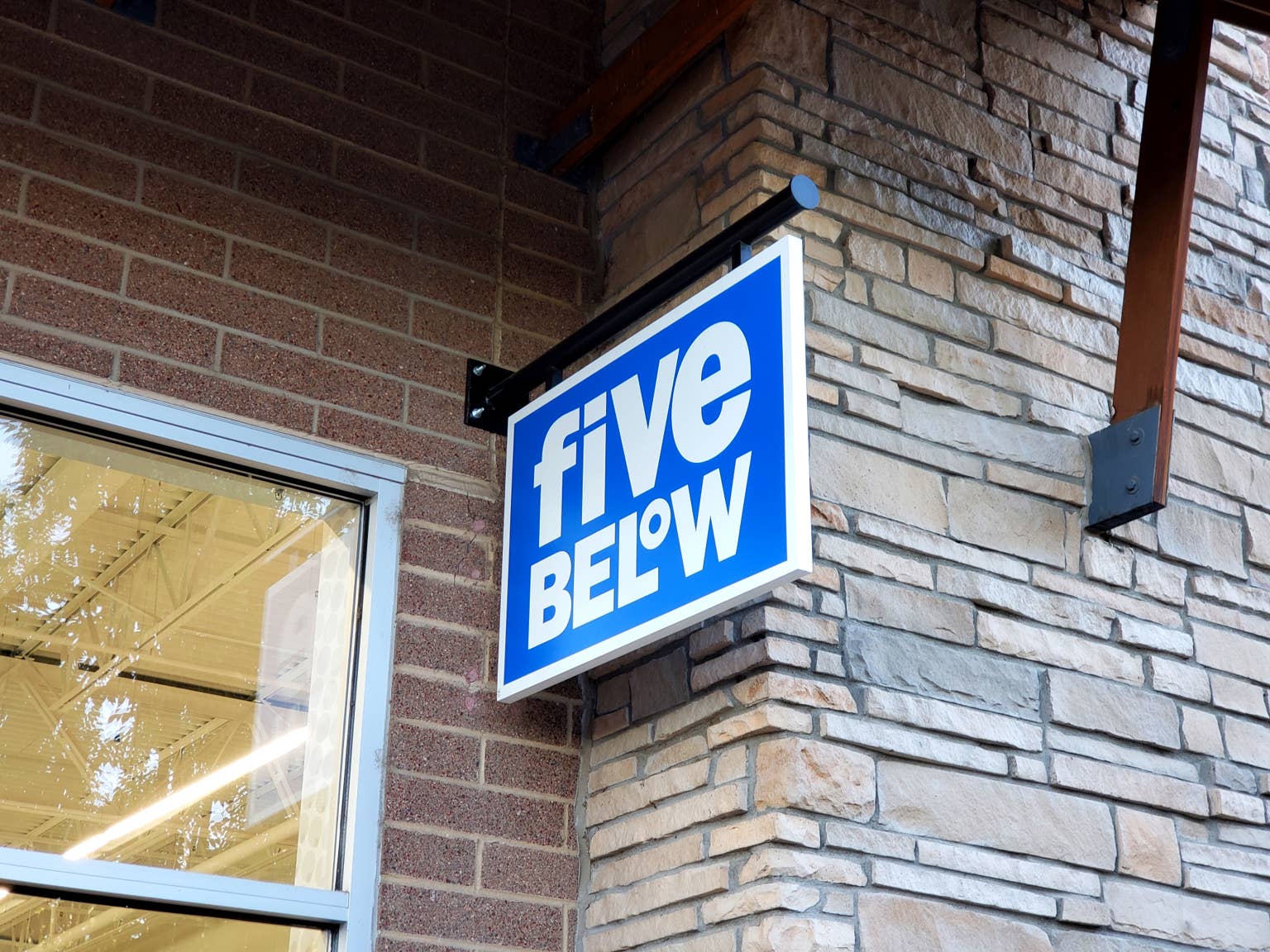 Five Below's $5 cat leash set is perfect for adventurous felines this ...