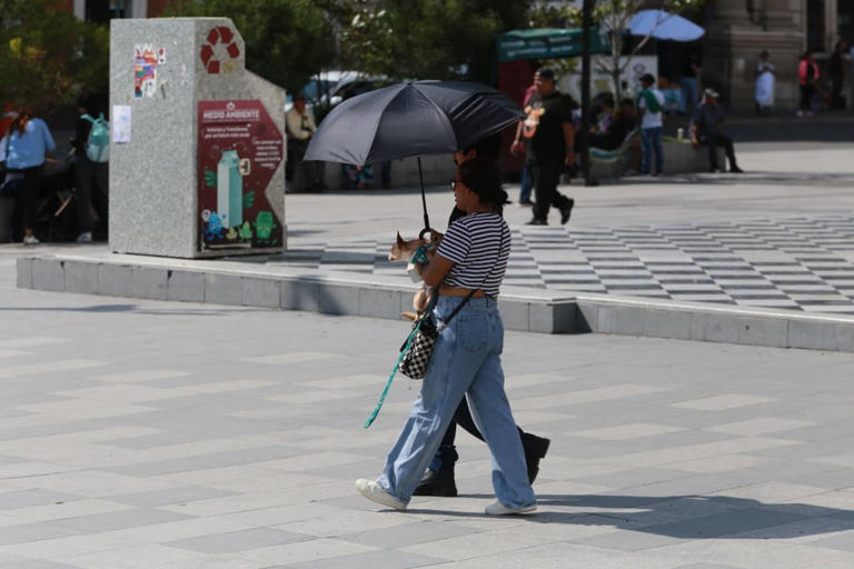 Hidalgo enfrenta onda de calor con temperaturas de hasta 45 grados