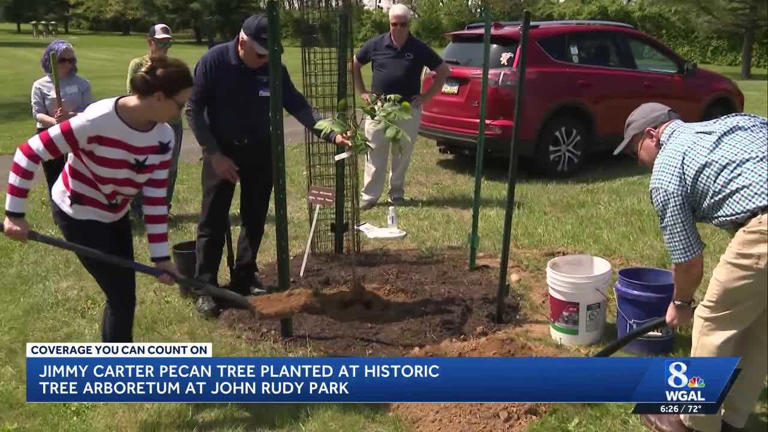 Historic pecan tree from Jimmy Carter’s home planted in York County