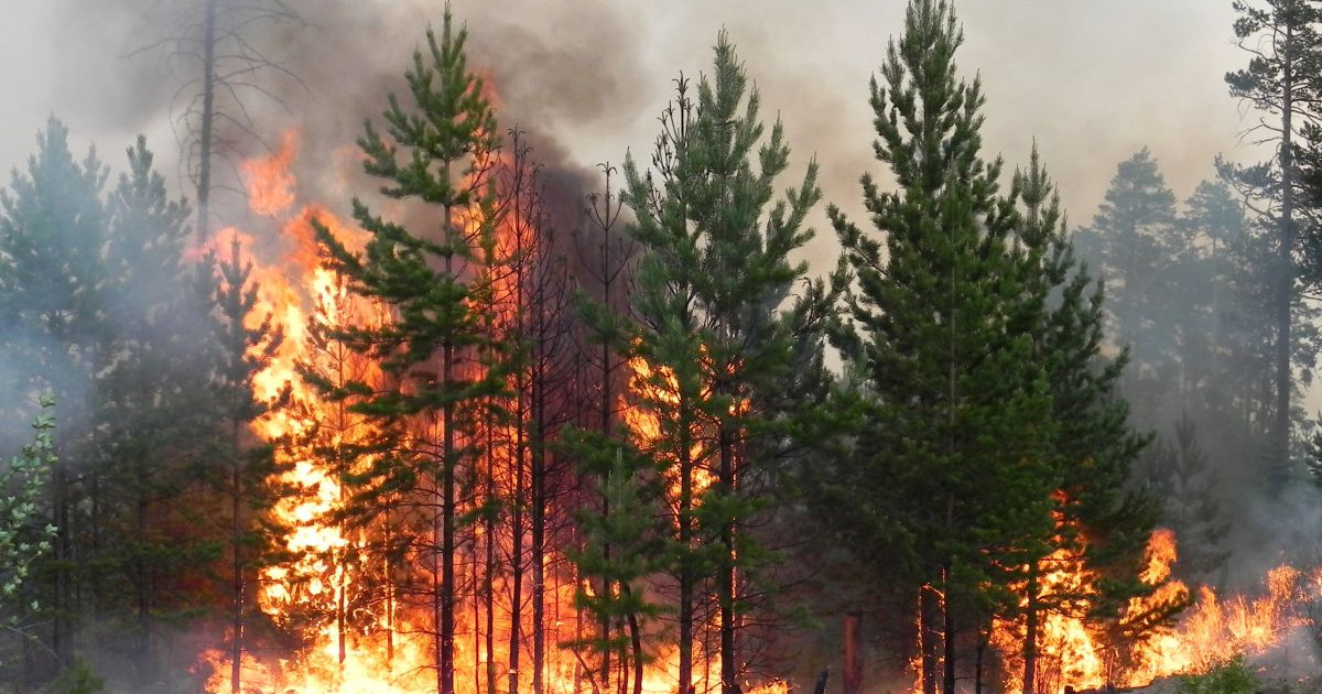 Oregon may need to brace for more severe fire season