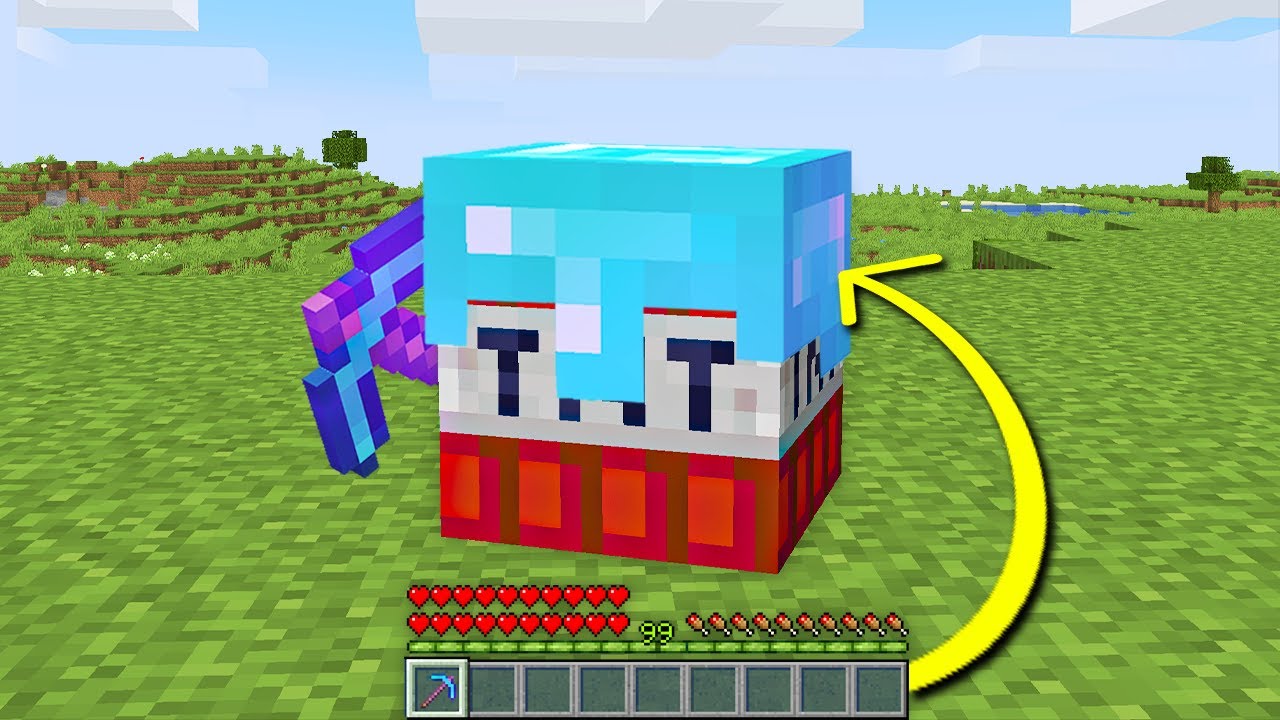 Minecraft, but you can shapeshift into any block