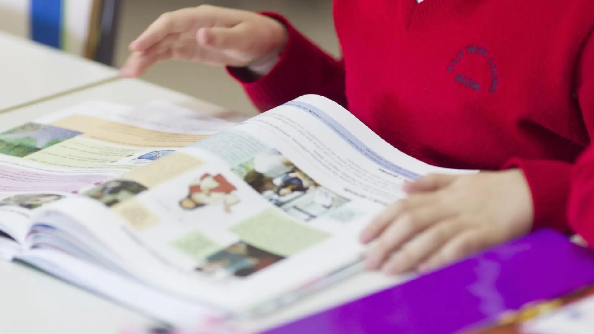 Cheques de hasta 300 euros para comprar libros de texto y vales para ...