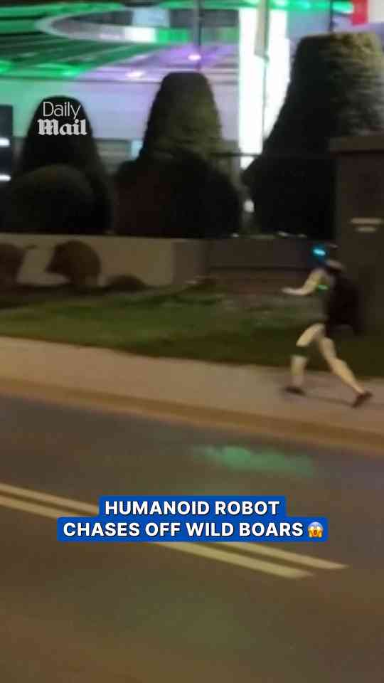 Humanoid robot drives away wild boars in Poland