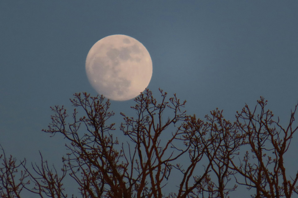 Oto znaki zodiaku, które muszą uważać w maju! To na nich wpłynie ...