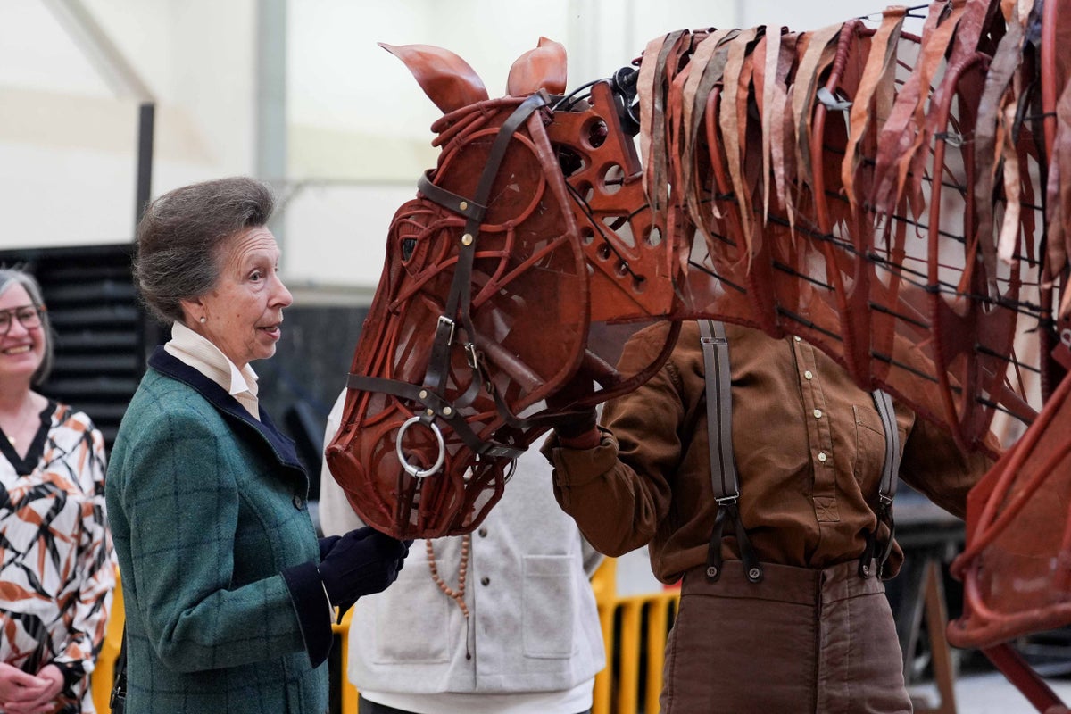 Princess Royal pats and jokes with puppet horse 'Joey' at National ...