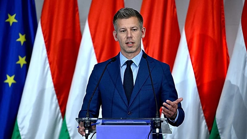 Hungary's incoming PM Péter Magyar offers to meet Ukraine's president ...