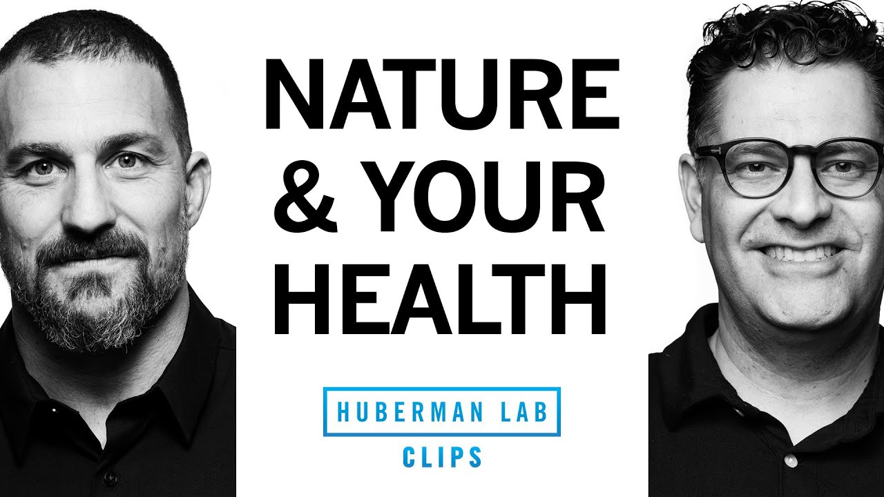 How nature improves your physical health