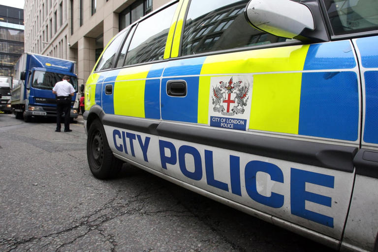London PC who assaulted child breached professional standards