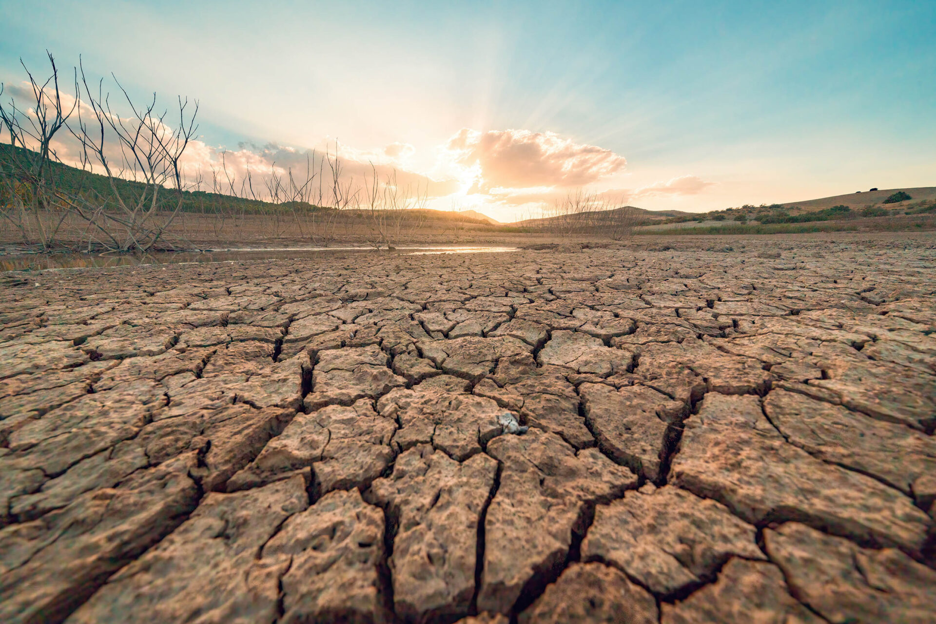 The US is facing one of its worst droughts in years