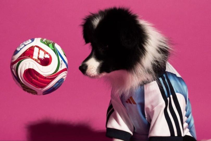 Scotland fans furious Adidas won't make World Cup kit for dogs as they ...
