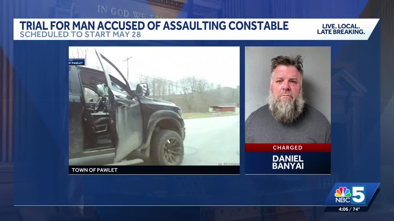 Daniel Banyai to face trial for alleged assault on officer during ...