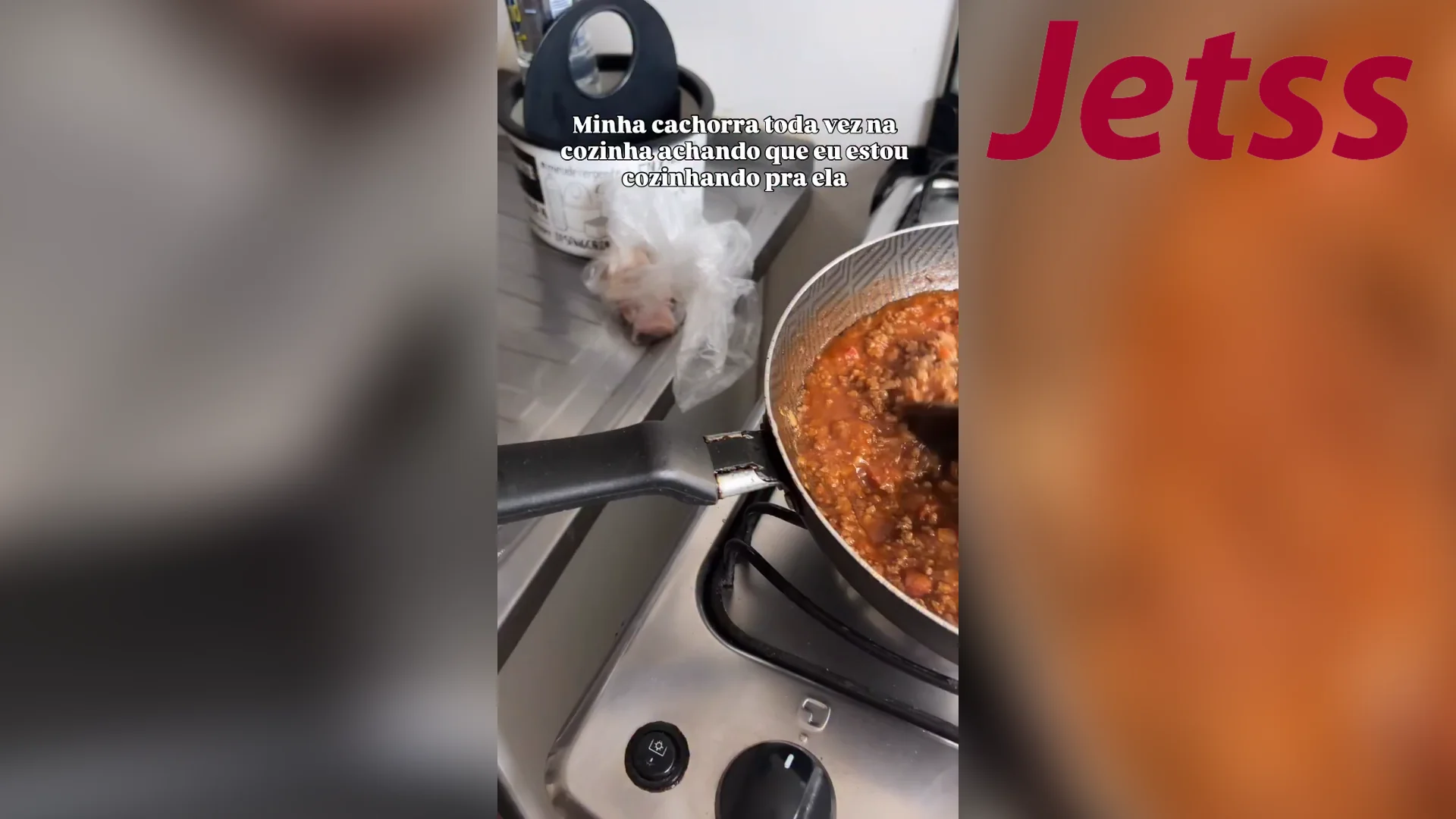 Vídeo mostra cachorra convencida de que o cardápio do dia é para ela