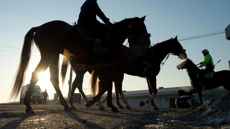 Ontario: Funding delay sparks racing industry tension as political ...